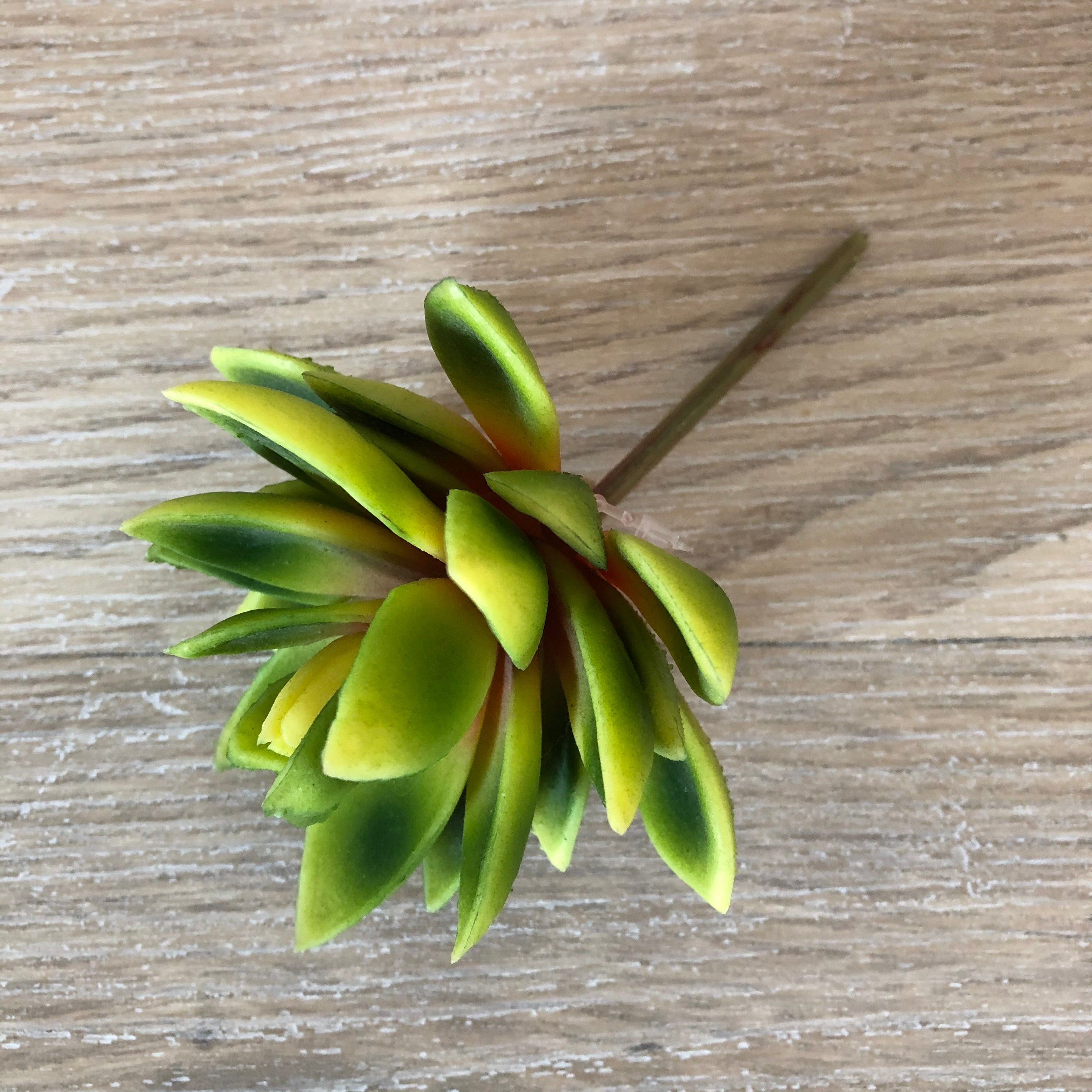 Faux Plant - Lotus Succulent | Green & Yellow – Shelf Home + Gifts